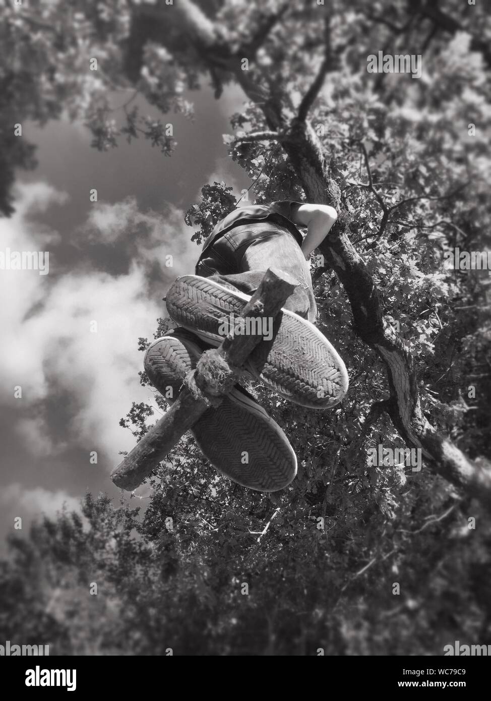 Rope Swing Hanging From Tree High Resolution Stock Photography and ...