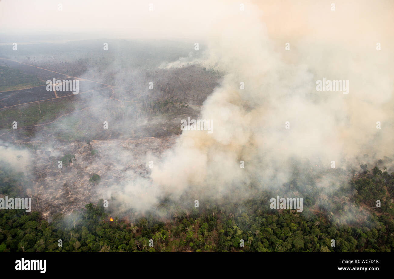 Amazon rainforest fire aerial 2019 hi-res stock photography and images ...