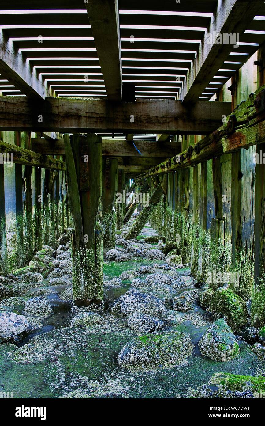 Moss covered bridge hi-res stock photography and images - Alamy