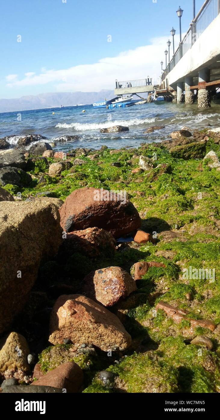 Moss covered rocks in sea hi-res stock photography and images - Alamy
