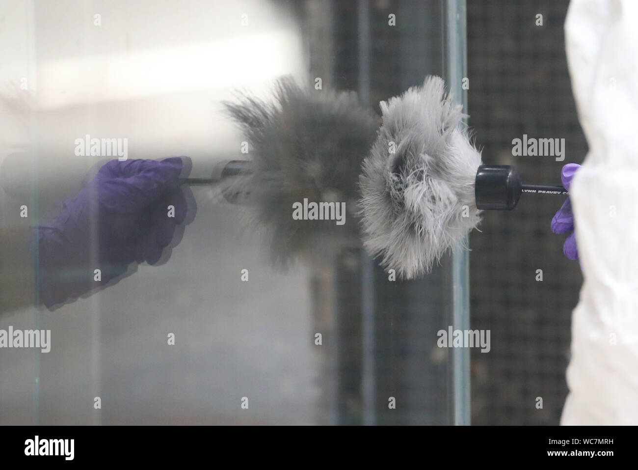 Crime scene tools hi-res stock photography and images - Alamy