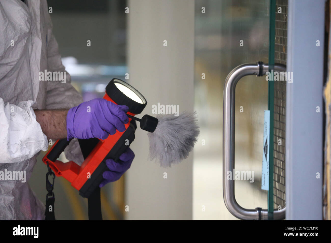 Close-up of NYPD officer's hands wearing gloves dusting for ...