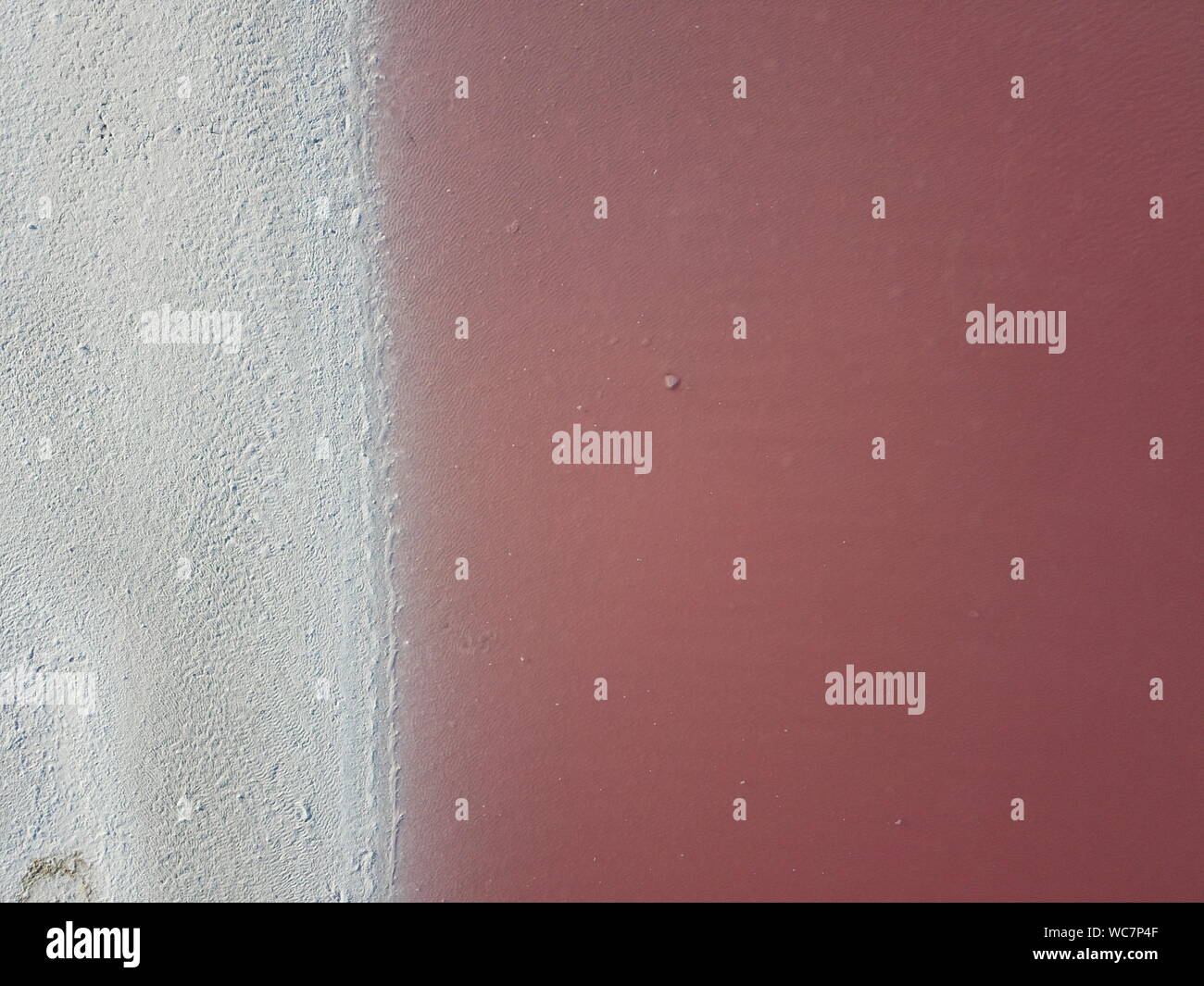Red salt water bacteria hi-res stock photography and images - Alamy