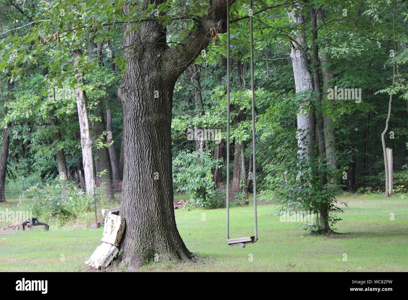 Empty swing at the park hi-res stock photography and images - Alamy
