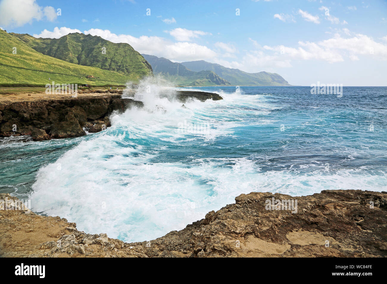 Kaena point beach hi-res stock photography and images - Alamy