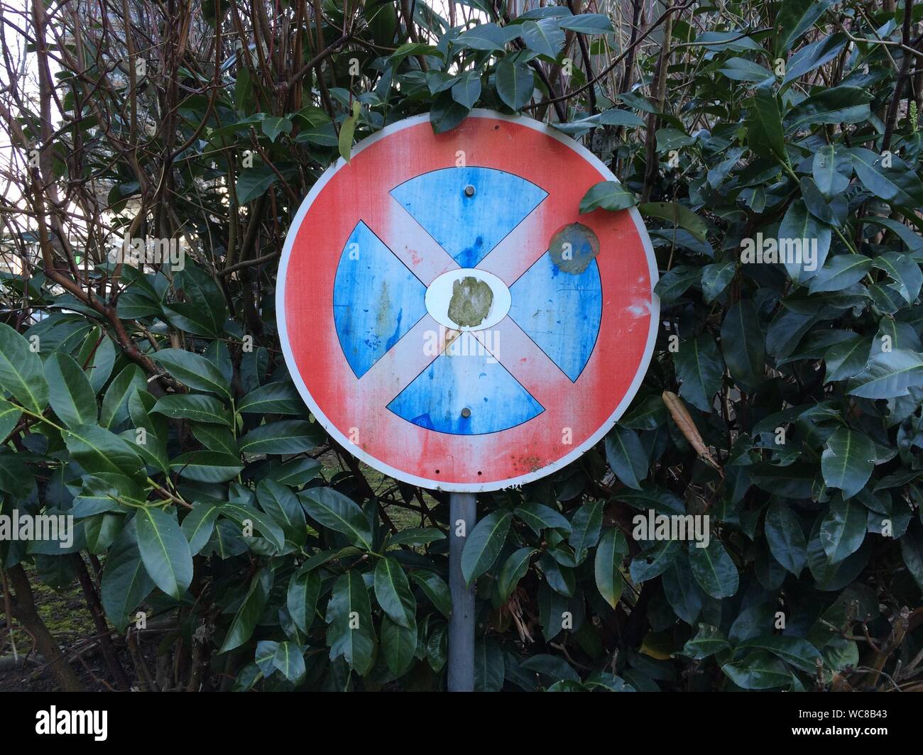 Stop Bush High Resolution Stock Photography and Images - Alamy