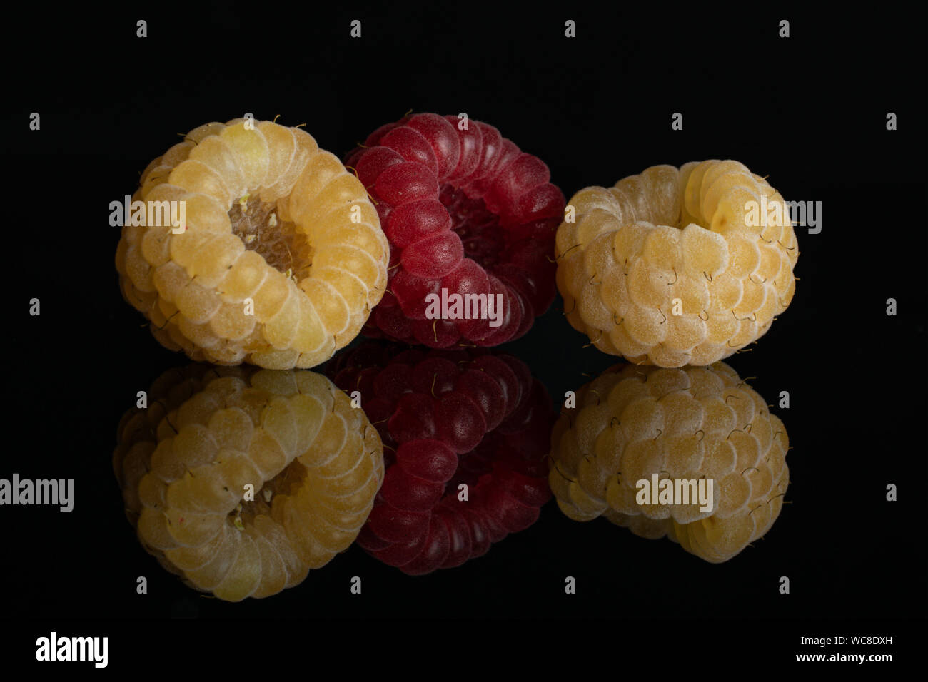 Rubus ellipticus hi-res stock photography and images - Alamy