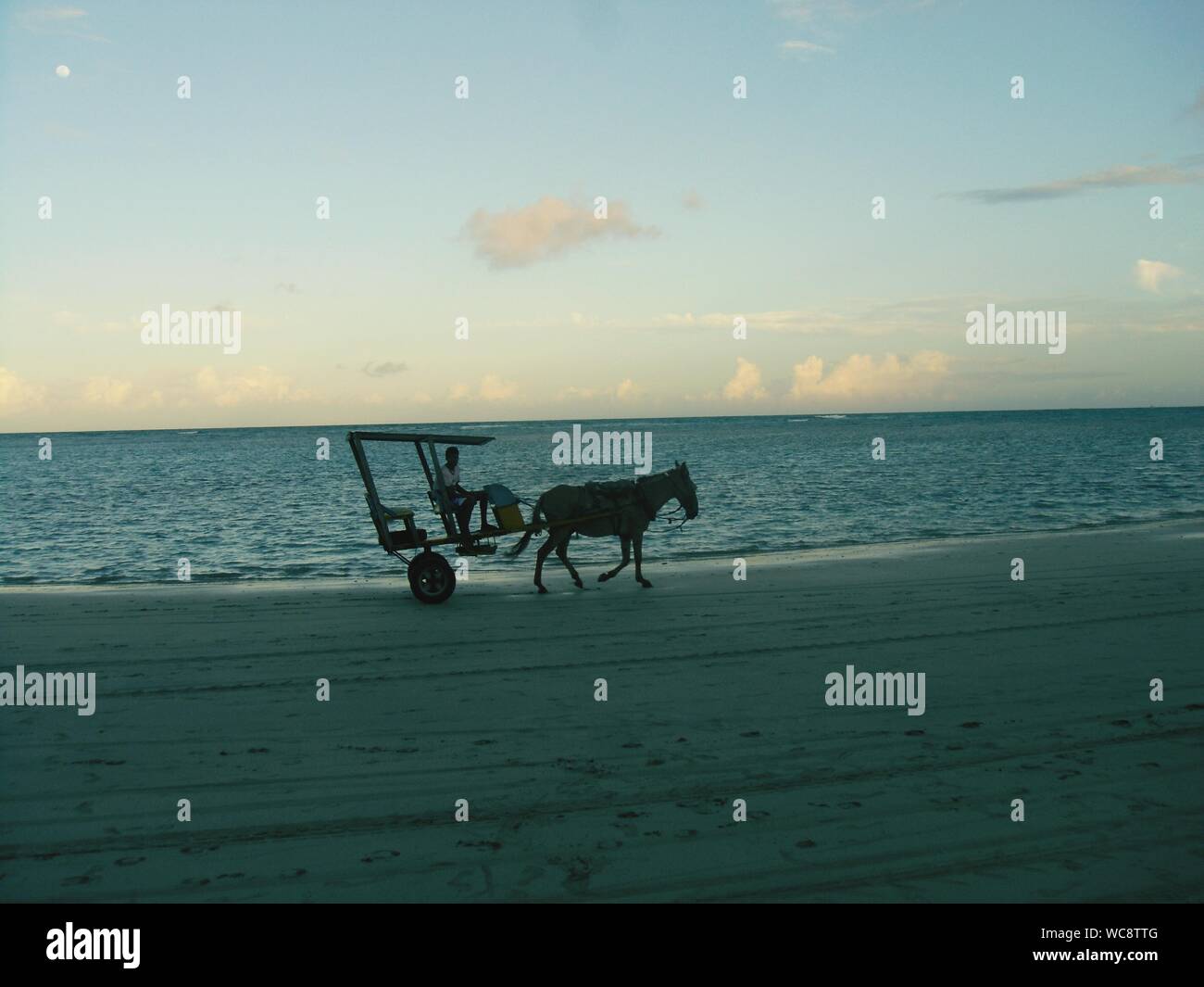 Man with horse cart hi-res stock photography and images - Alamy