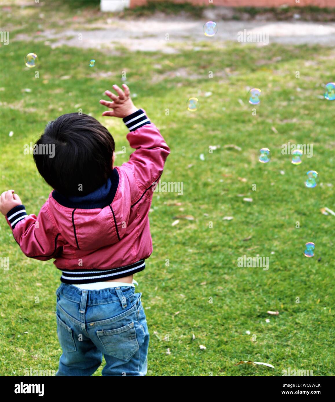 Toddler boy rear view hi-res stock photography and images - Alamy