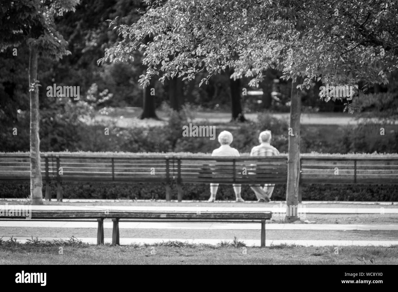 Woman park bench rear Black and White Stock Photos & Images - Alamy