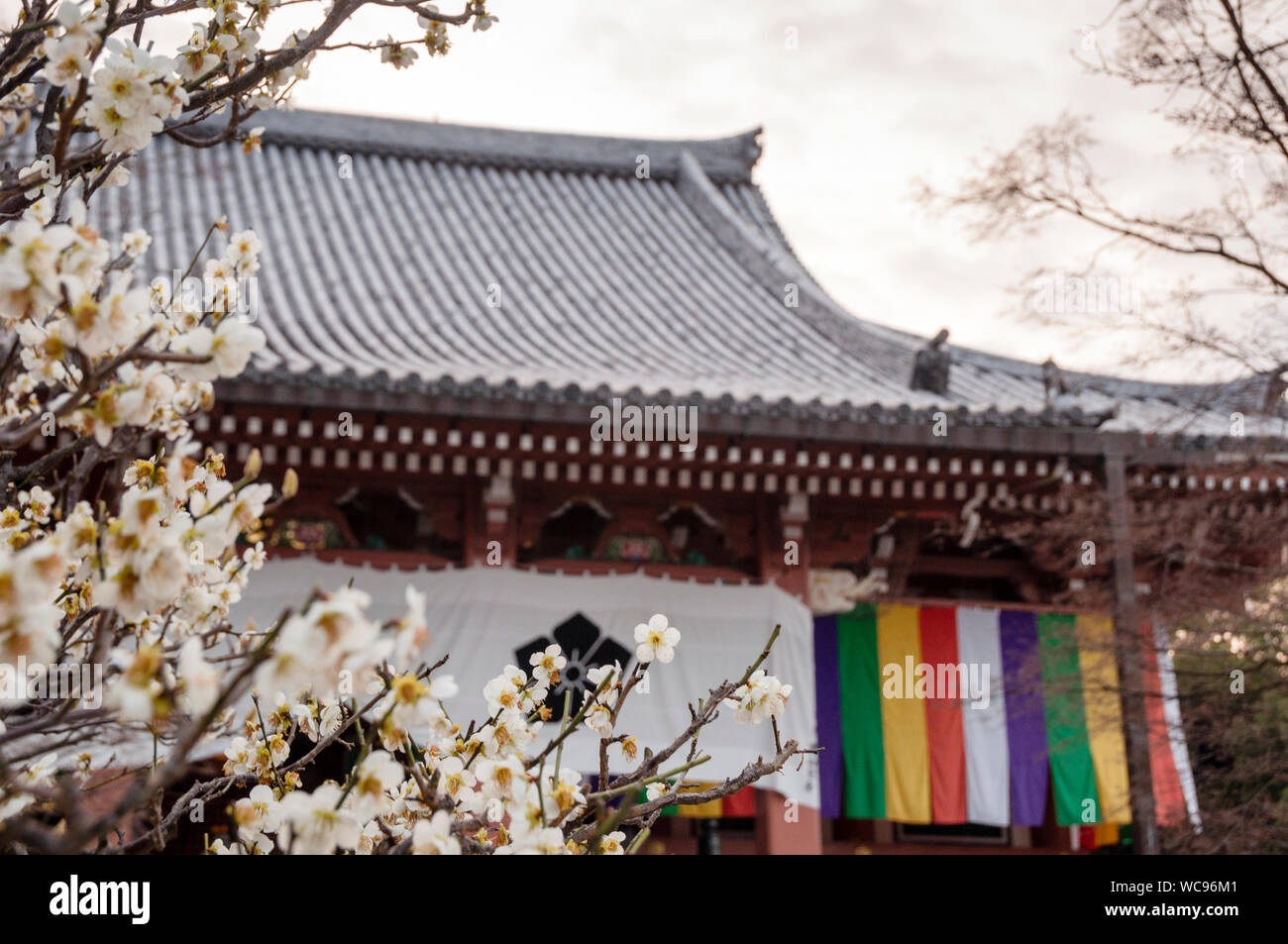 Curtained japanese temple hi-res stock photography and images - Alamy