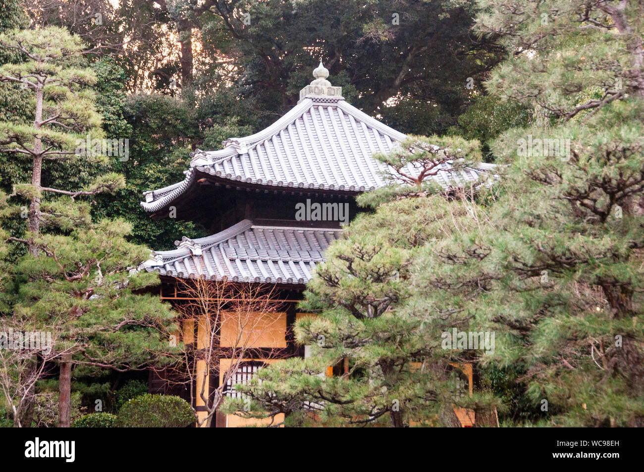 Myouhou-in Monzeki temple square pyramidal roof peeks from the ...