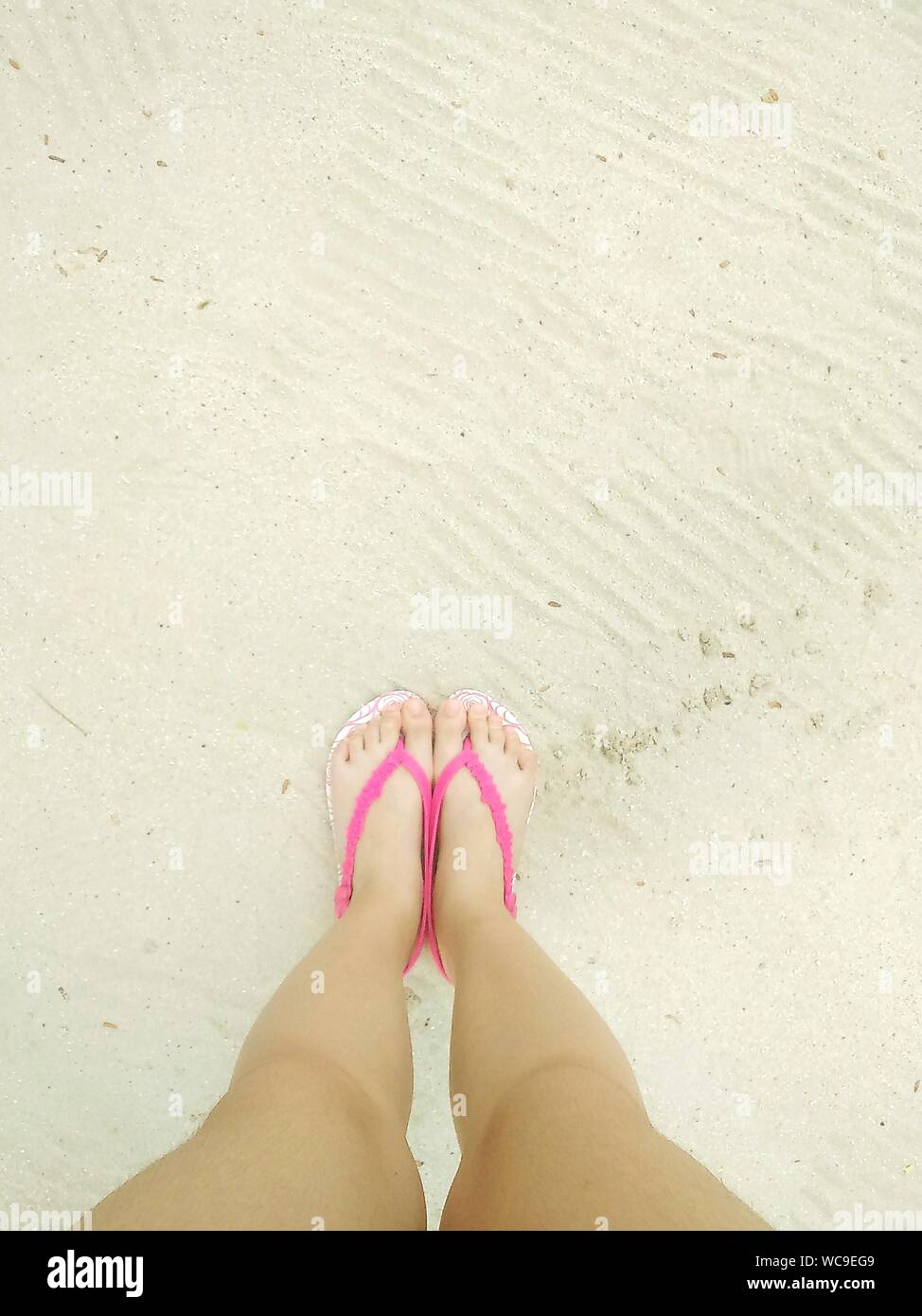 Pink slipper hi-res stock photography and images - Alamy