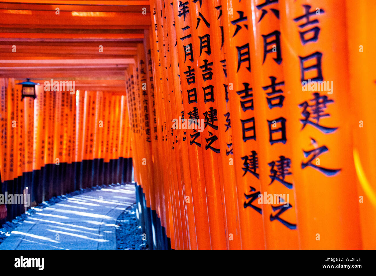 Japanese characters on Senbon Torri Path at Fushimi Inari-taisha Shinto ...