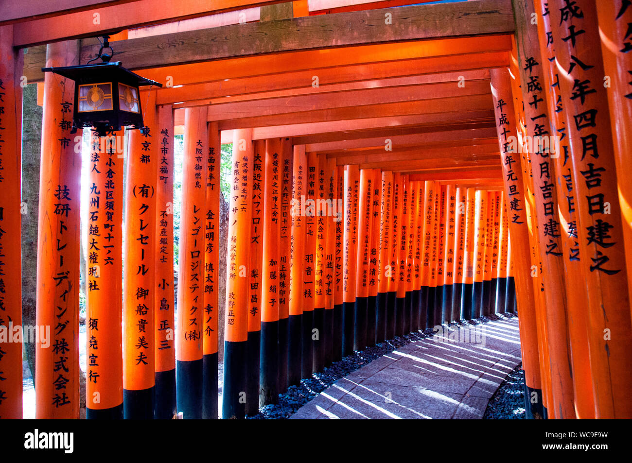 Japanese lantern and painted wooden torri at the Inari Mountain at ...