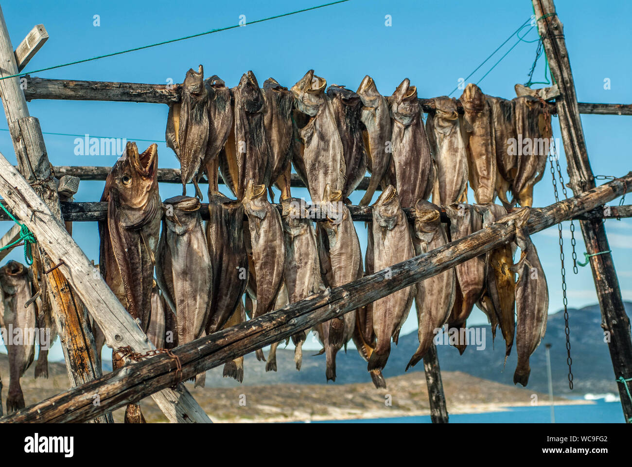 Fish fence hi-res stock photography and images - Alamy