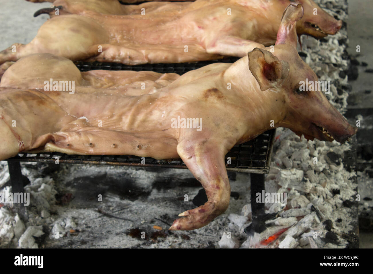 Pigs roasting on an fireplace stove Stock Photo - Alamy