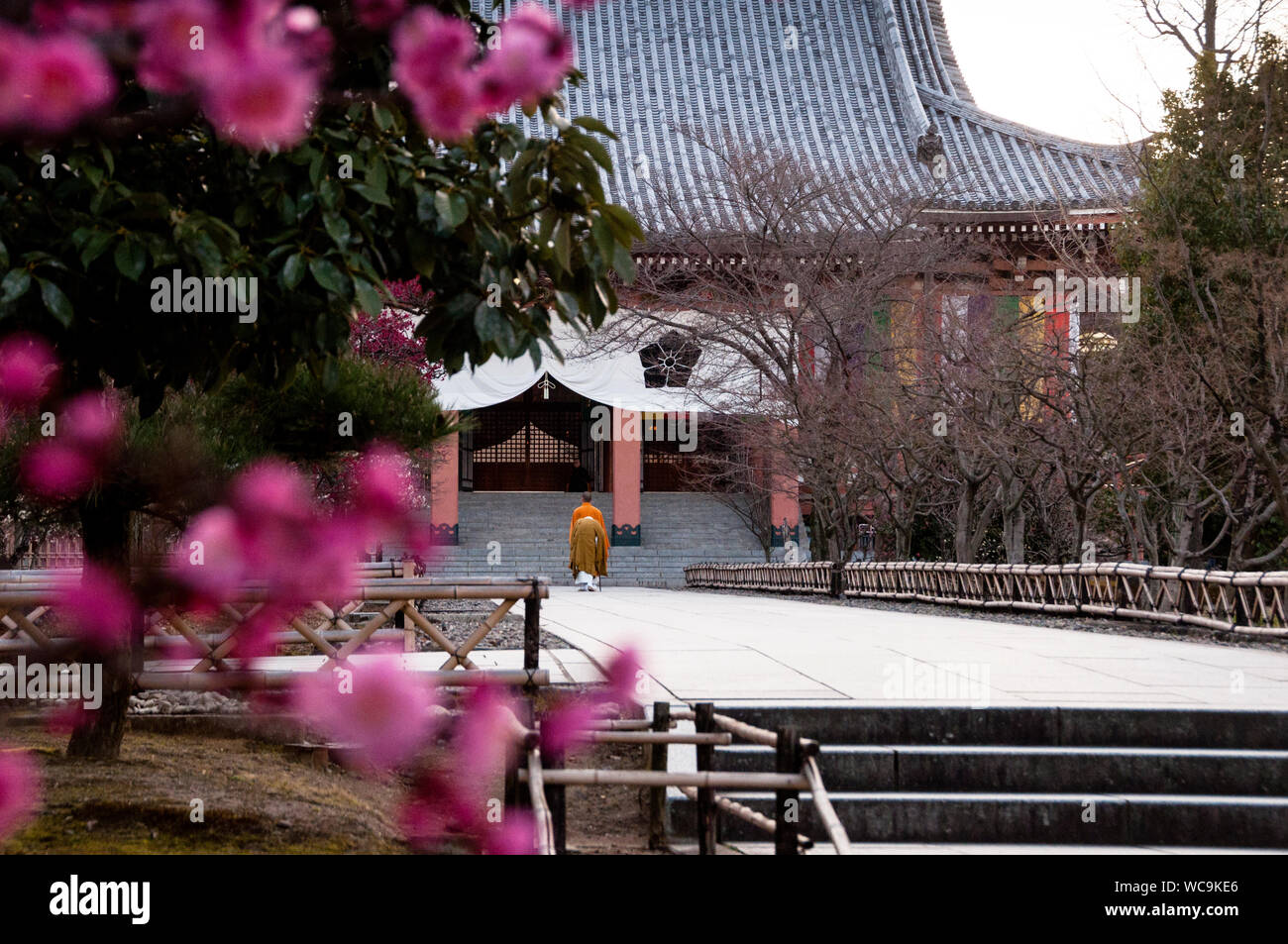 Japanese monks clad in saffron and brown robes on a bamboo lined ...