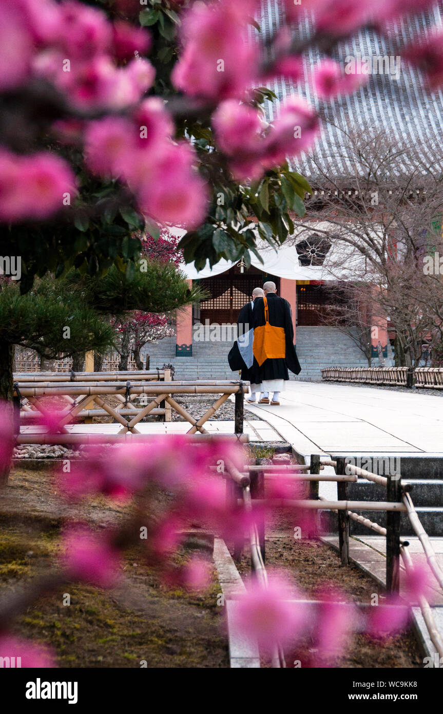 Buddhist temple Chishaku in Kyoto, Japan Stock Photo - Alamy