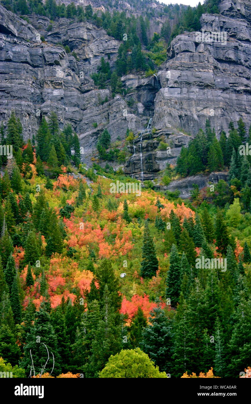 Plants Growing On Cliff High Resolution Stock Photography and Images ...