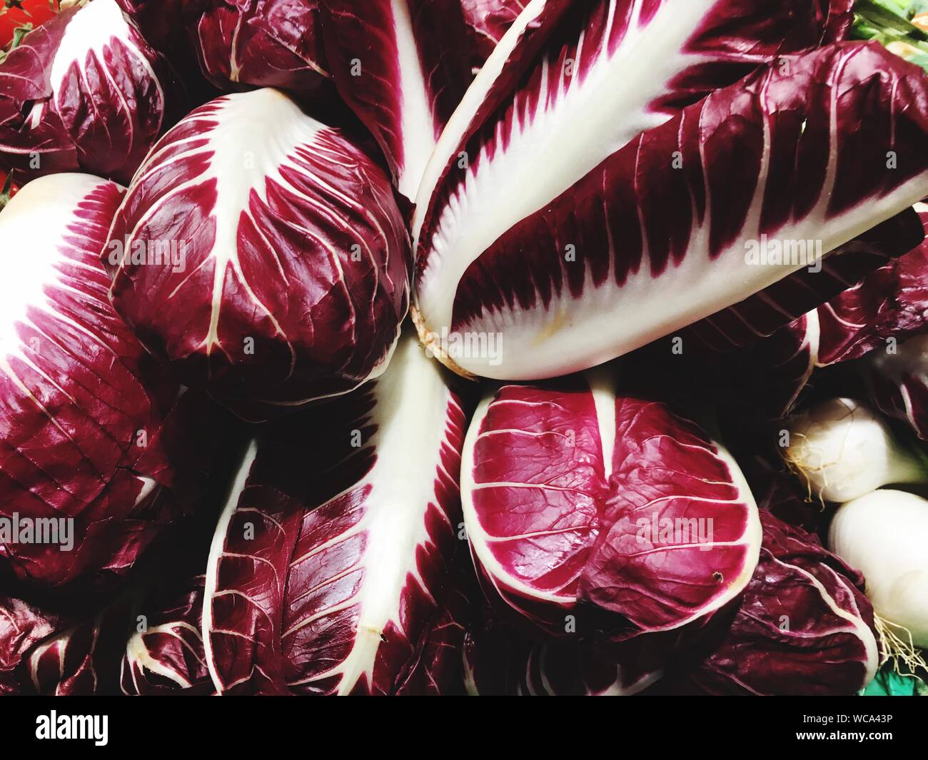 Radicchios High Resolution Stock Photography and Images - Alamy