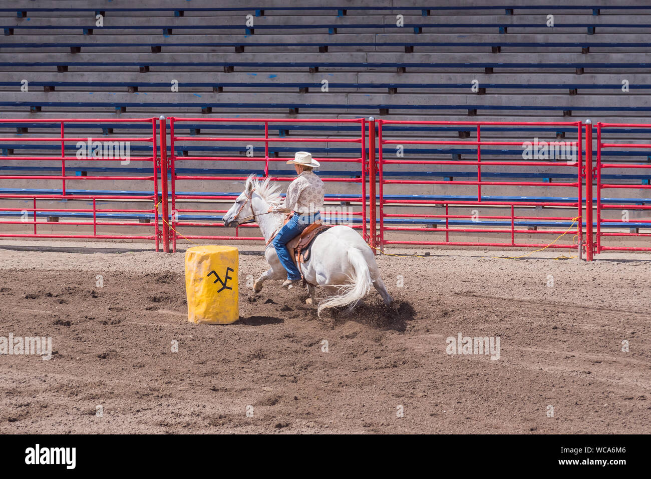 Williams lake rodeo hi-res stock photography and images - Alamy