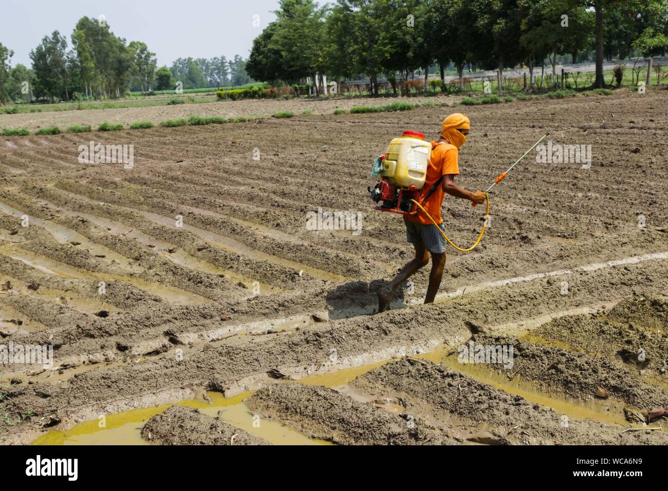 Man spraying fertilizer hi-res stock photography and images - Alamy