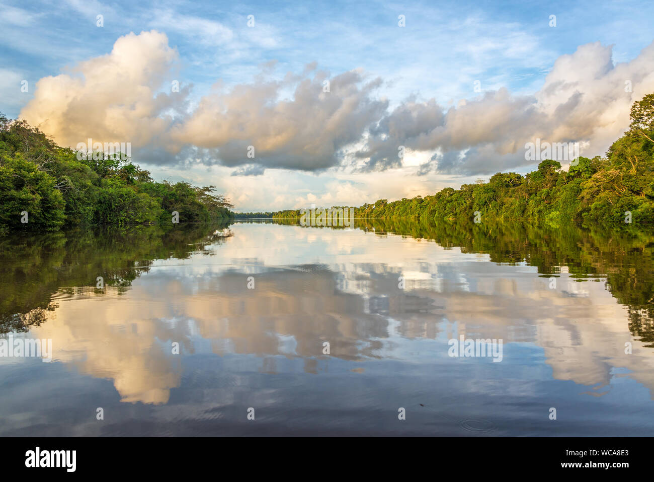 Amazon river tourism hi-res stock photography and images - Alamy