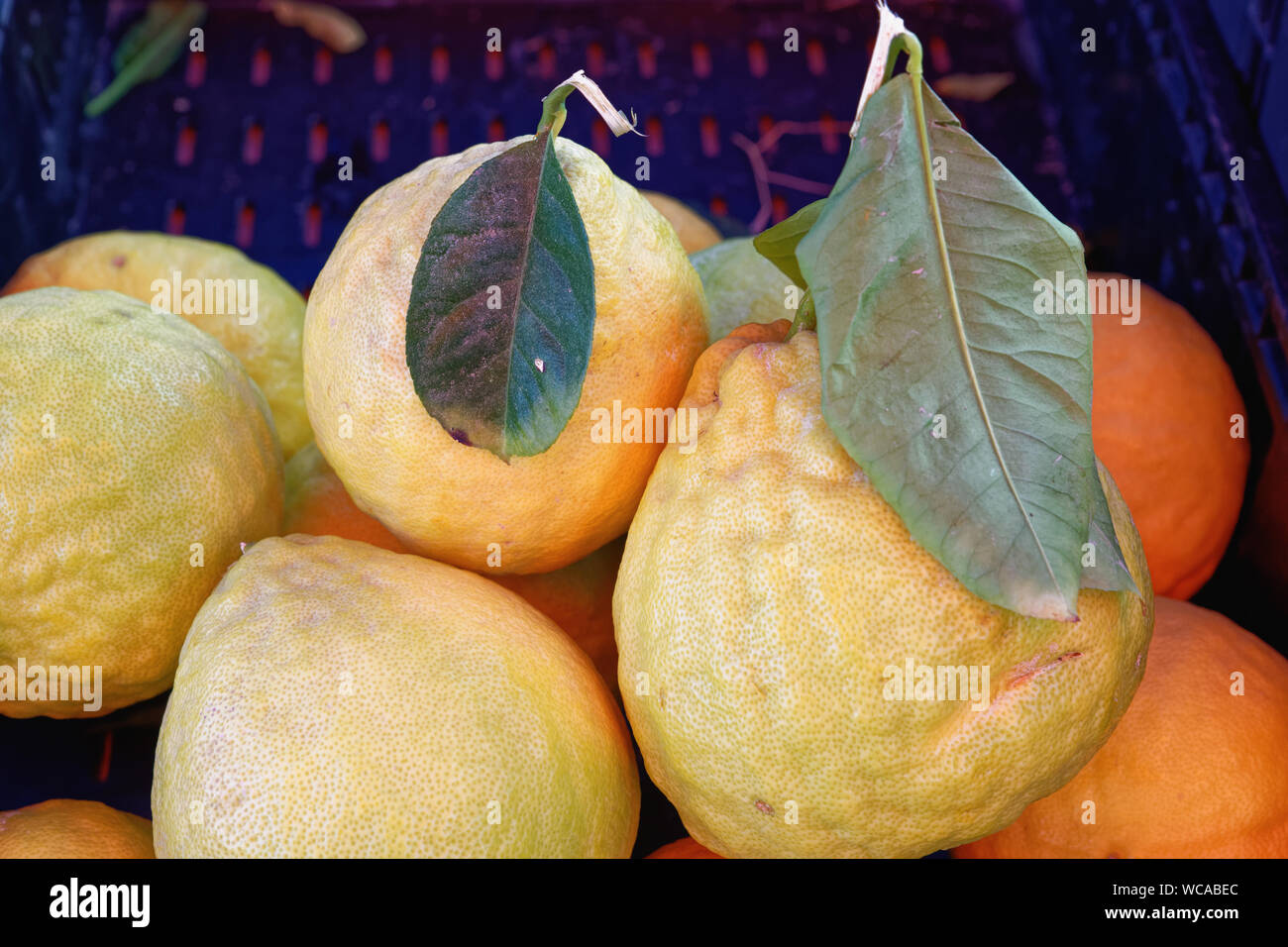 Bumpy texture hi-res stock photography and images - Alamy