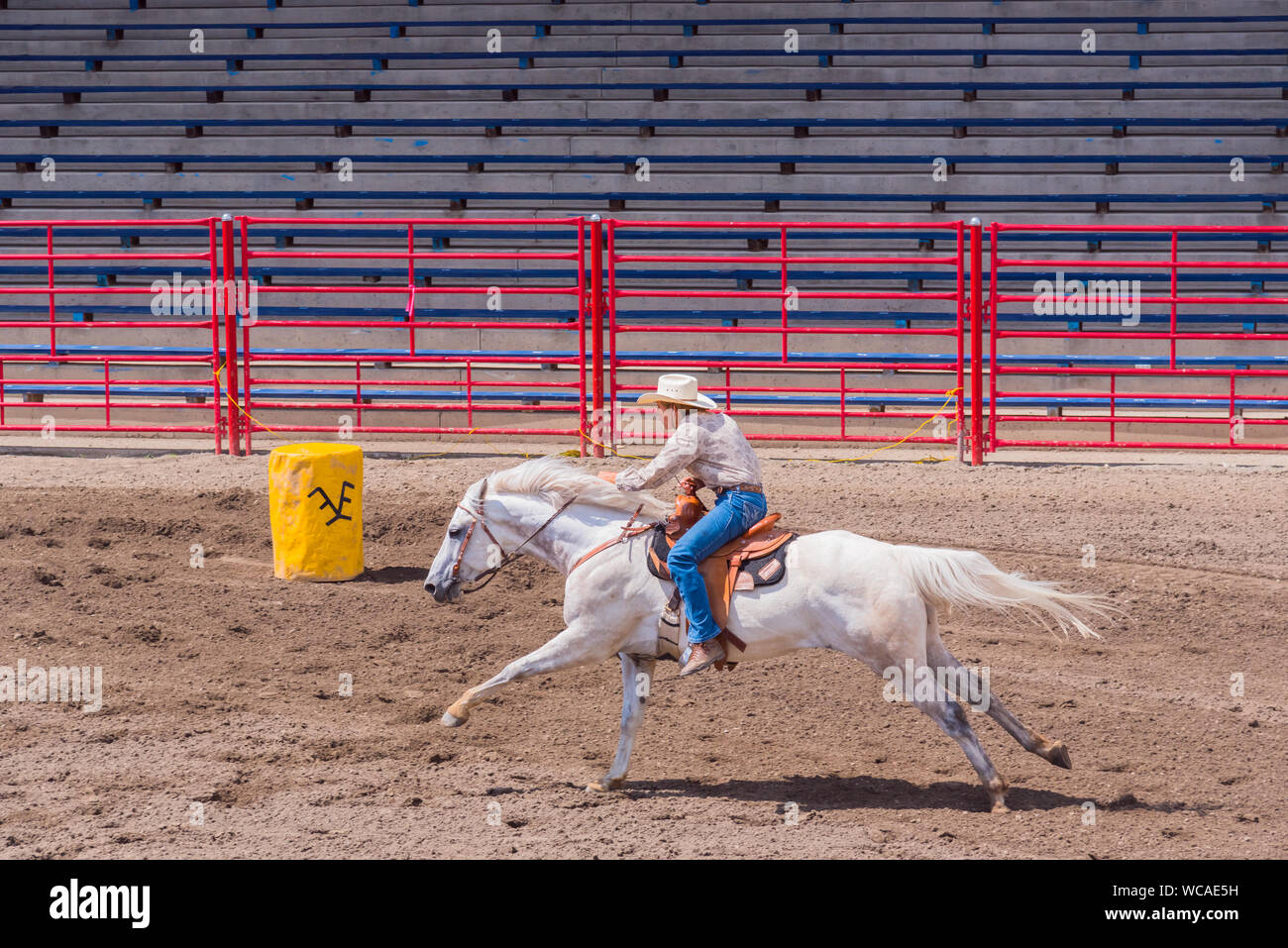 Williams Lake, British Columbia/Canada - June 19, 2016: woman and horse ...