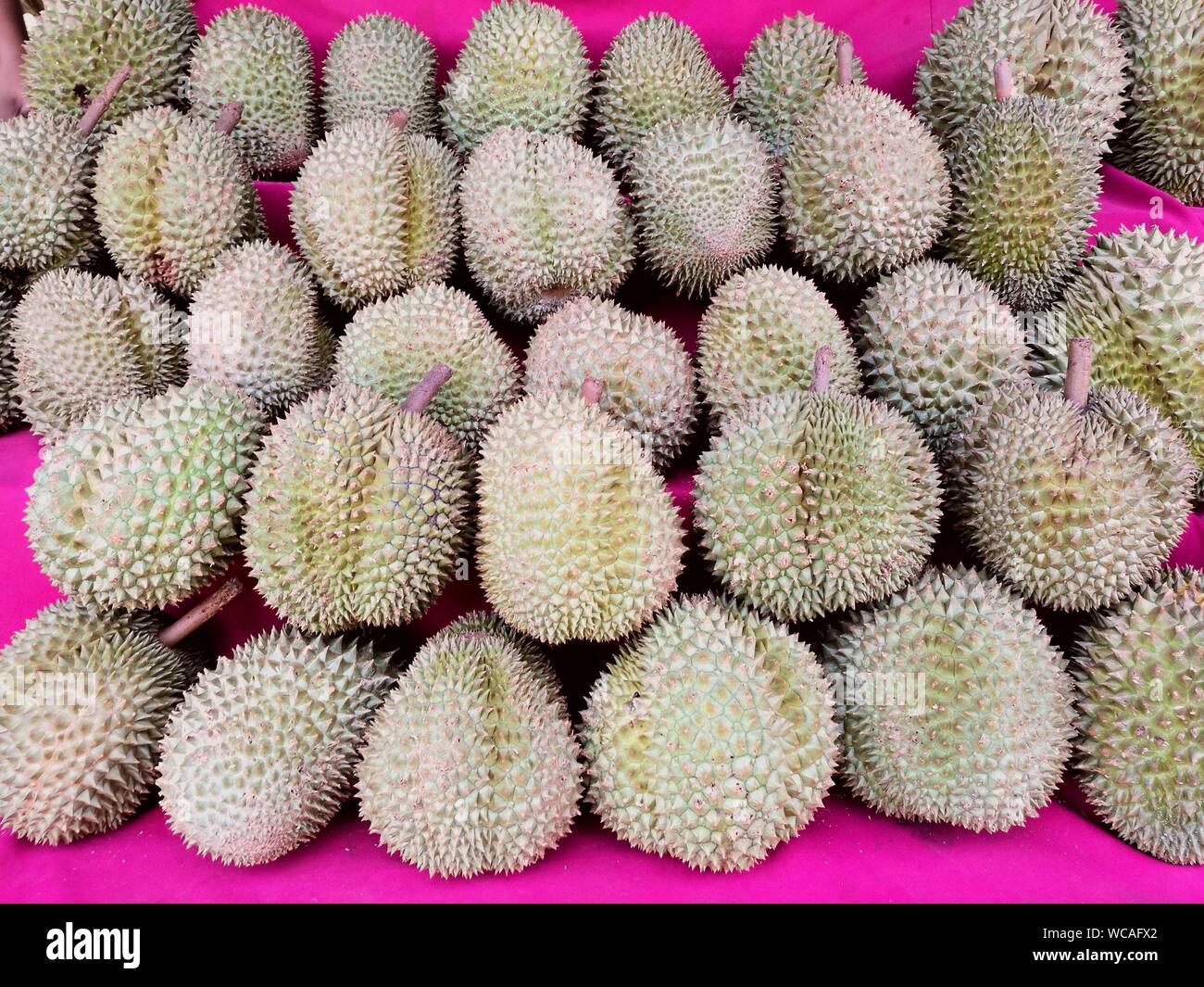 Durians Sale Stall High Resolution Stock Photography and Images - Alamy