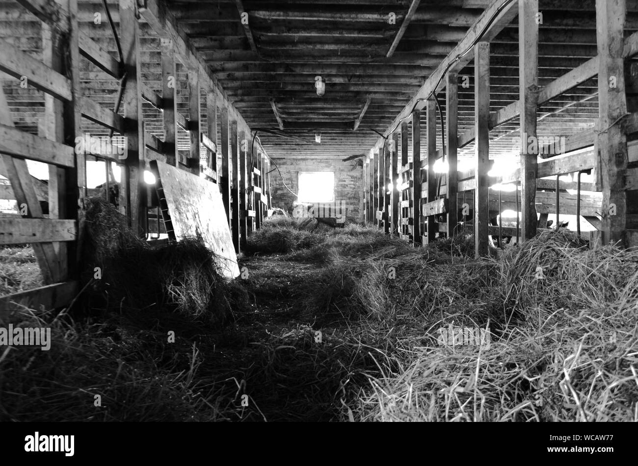 Old Barn Interior Hay High Resolution Stock Photography and Images - Alamy