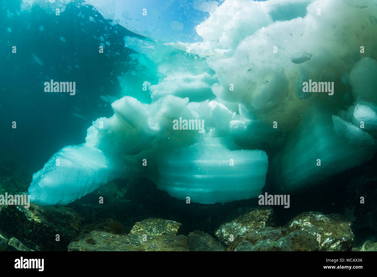 Drift ice,underwater view,in Rausu,Hokkaido,Japan Stock Photo - Alamy