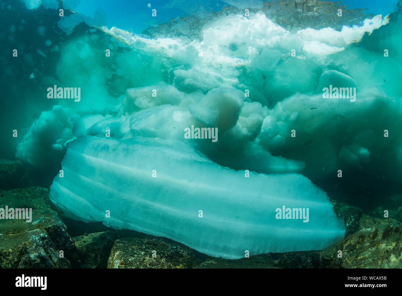 Drift ice,underwater view,in Rausu,Hokkaido,Japan Stock Photo - Alamy