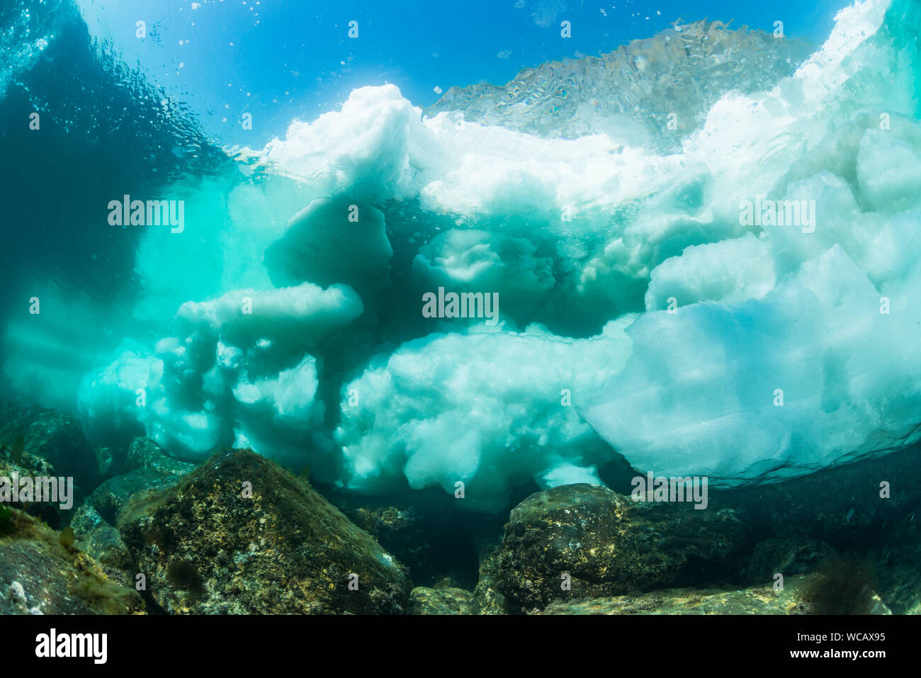 Drift ice,underwater view,in Rausu,Hokkaido,Japan Stock Photo - Alamy