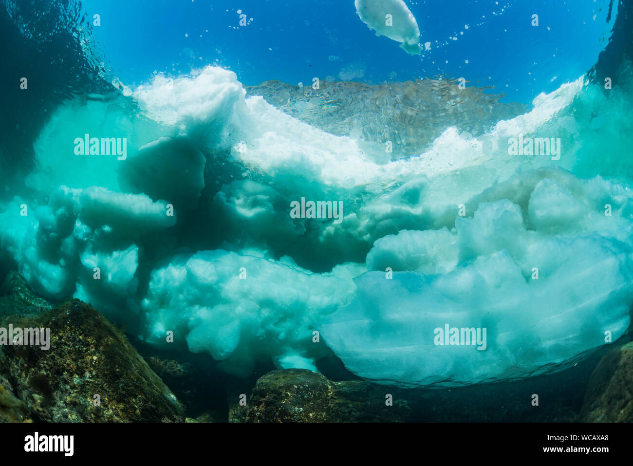 Drift ice,underwater view,in Rausu,Hokkaido,Japan Stock Photo - Alamy