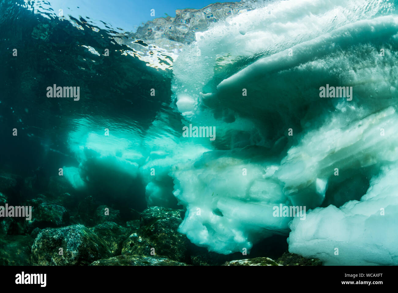 Drift ice,underwater view,in Rausu,Hokkaido,Japan Stock Photo - Alamy