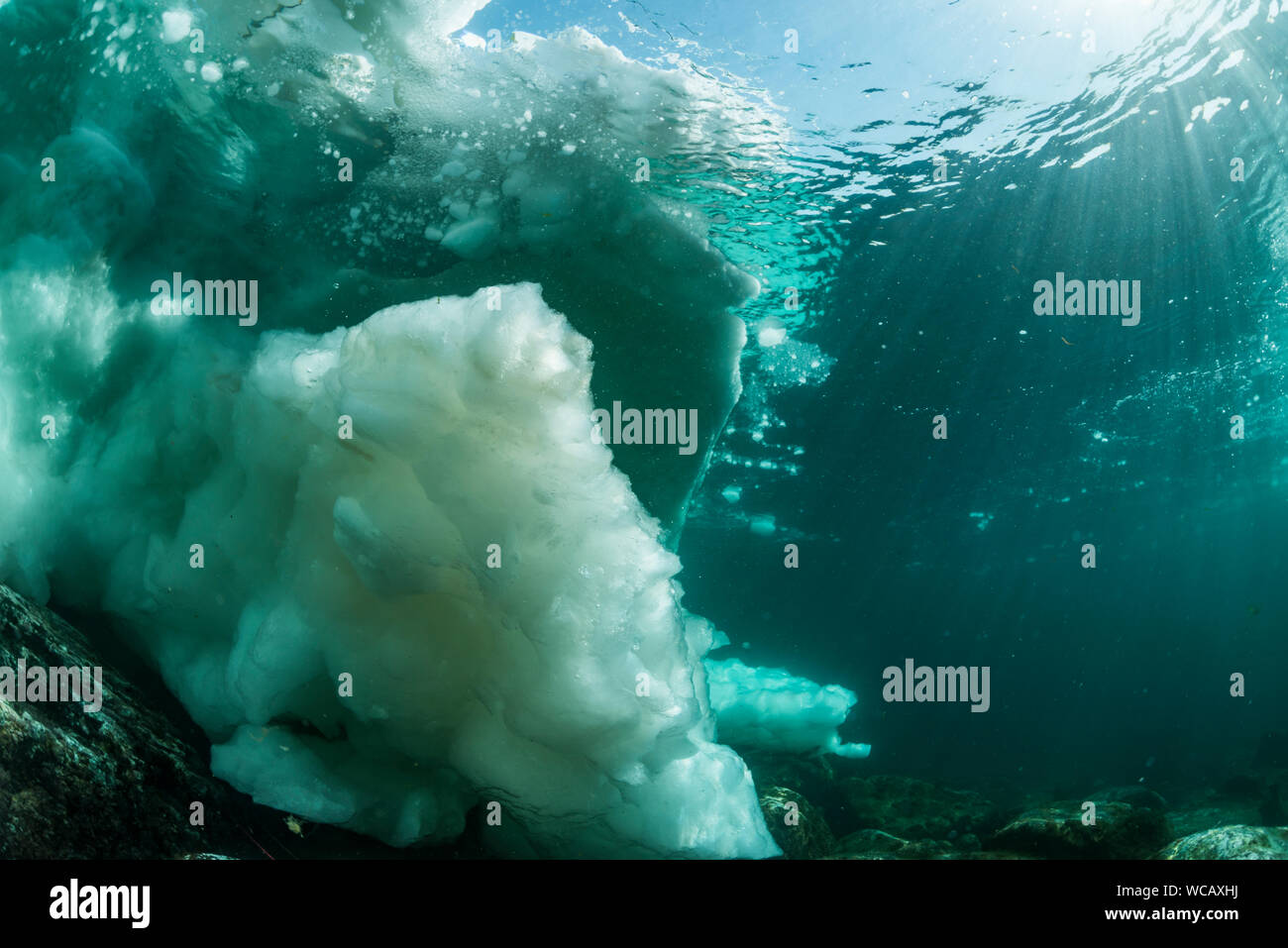 Drift ice,underwater view,in Rausu,Hokkaido,Japan Stock Photo - Alamy