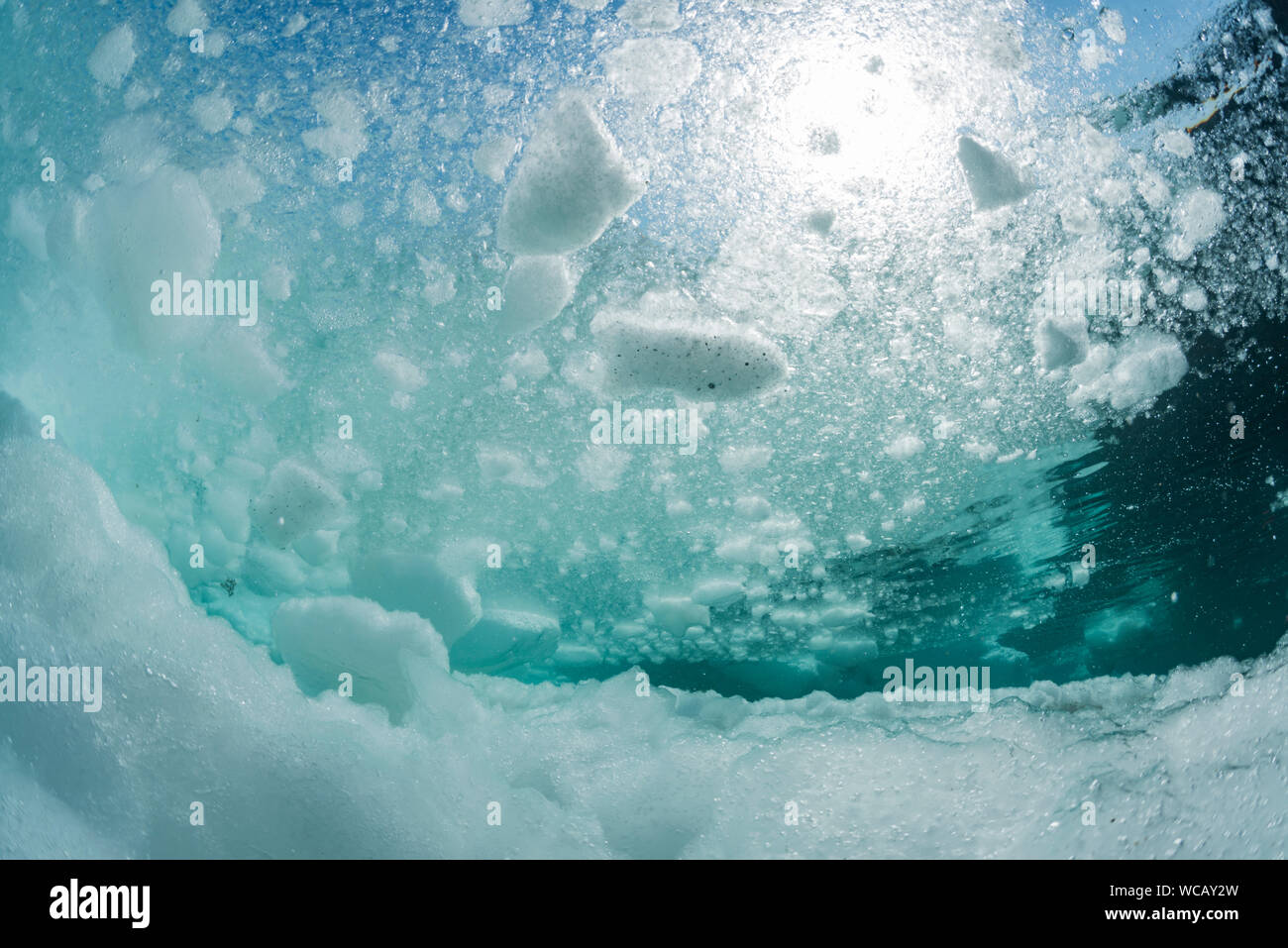 Drift ice,underwater view,in Rausu,Hokkaido,Japan Stock Photo - Alamy