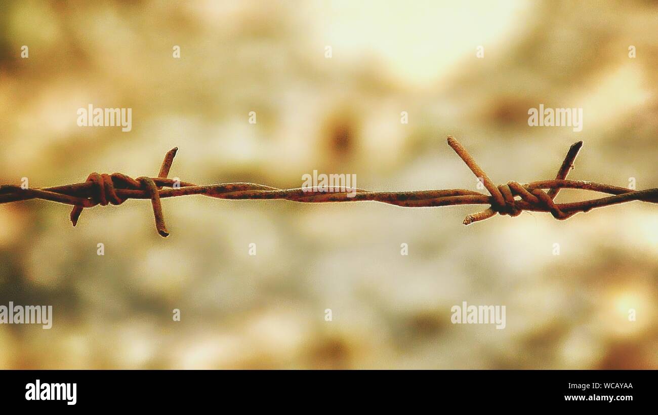 Barricade of barbed wire hi-res stock photography and images - Alamy