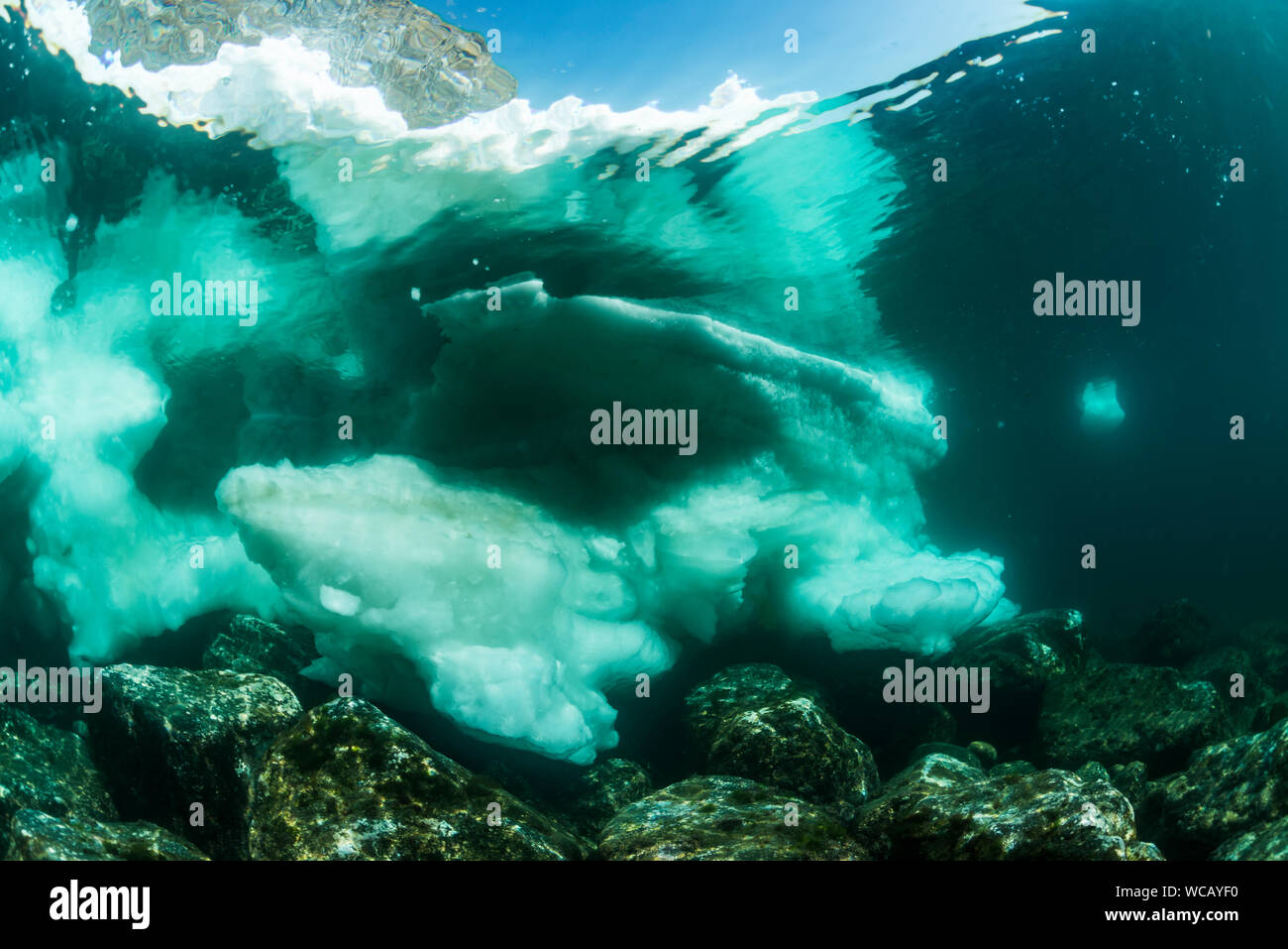 Drift ice,underwater view,in Rausu,Hokkaido,Japan Stock Photo - Alamy