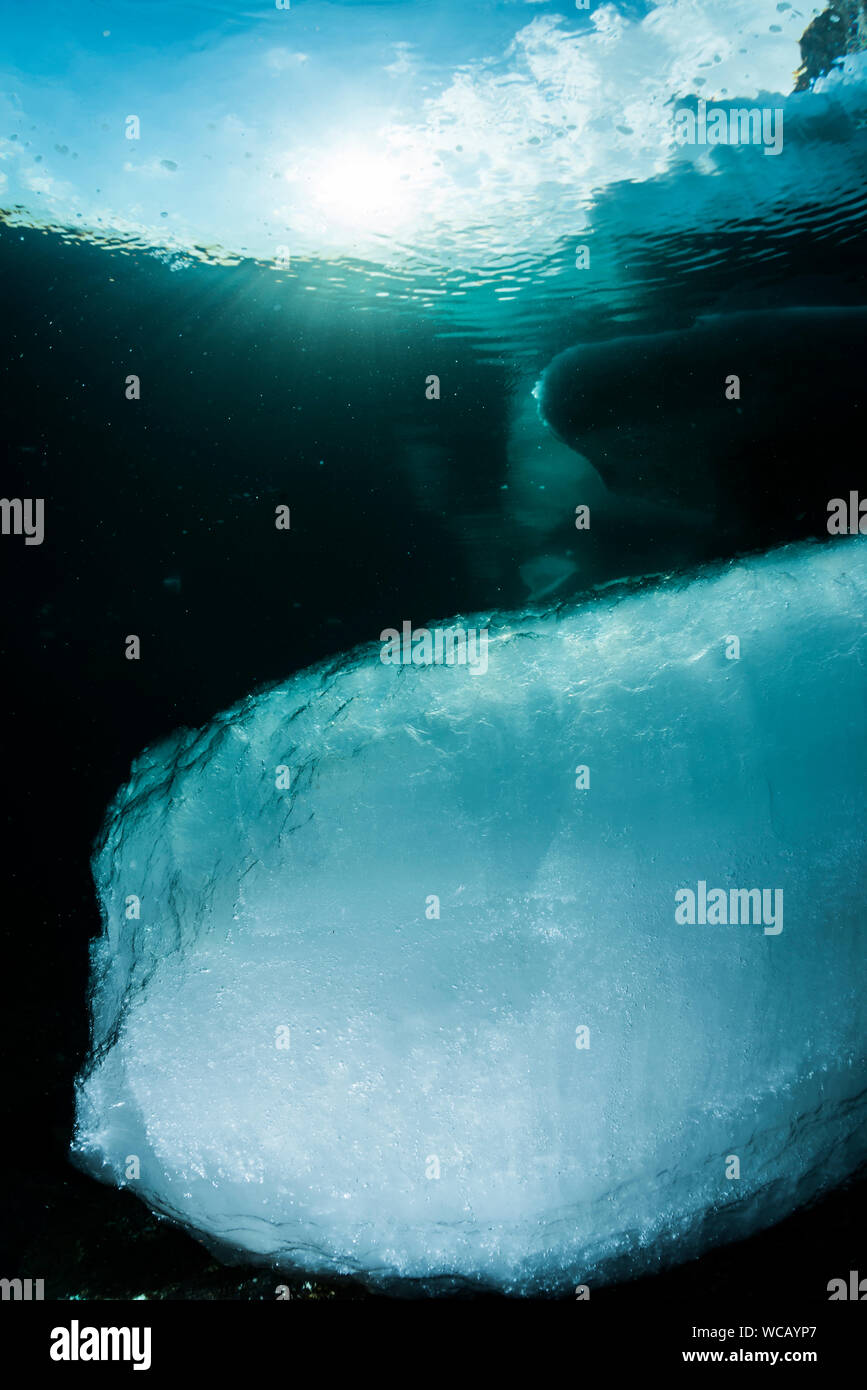 Drift ice,underwater view,in Rausu,Hokkaido,Japan Stock Photo - Alamy