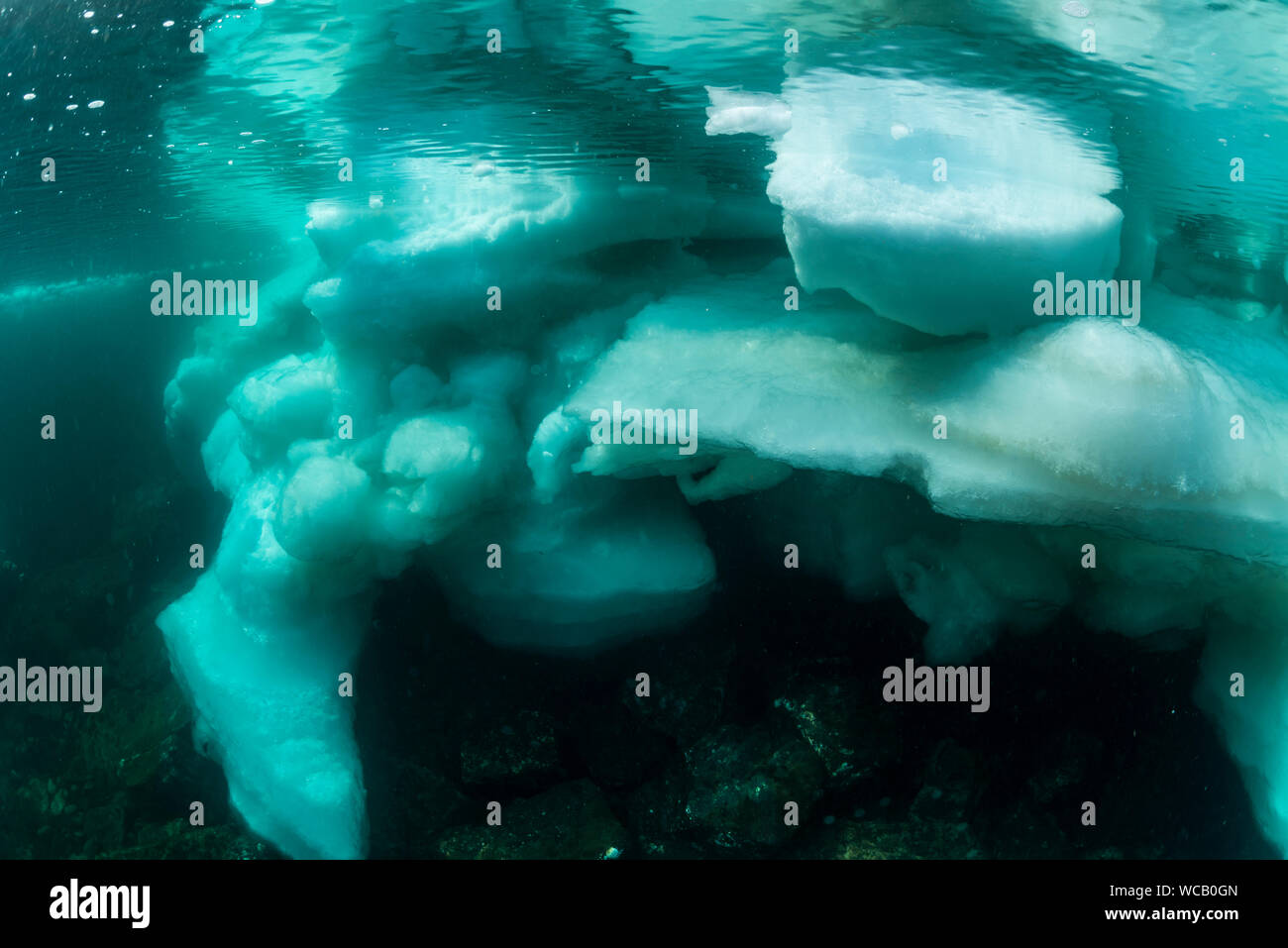 Drift ice,underwater view,in Rausu,Hokkaido,Japan Stock Photo - Alamy