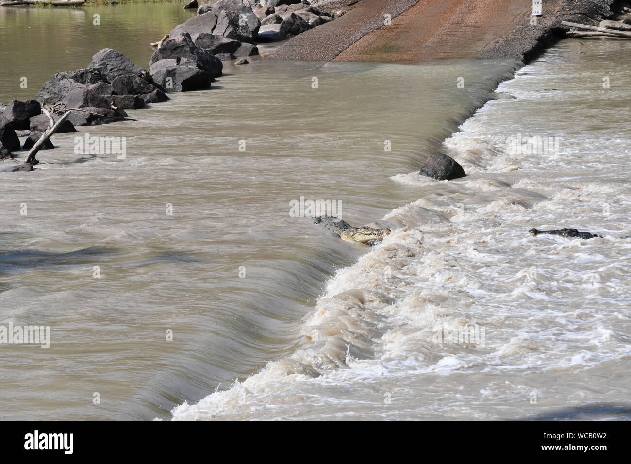 Crocodile fight, Cahill's Crossing, Arnhem Land, Northern Territory ...