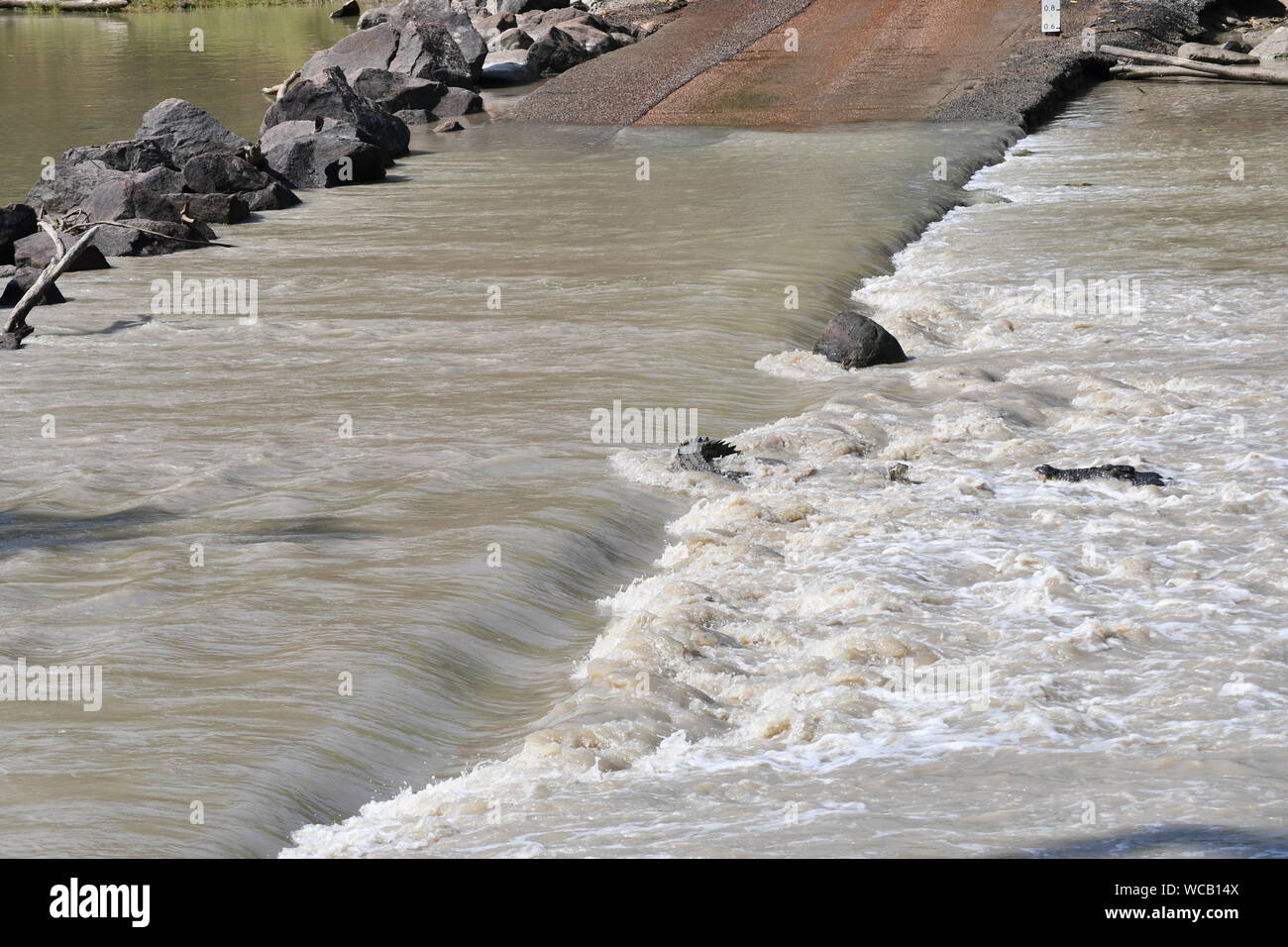 Crocodile fight, Cahill's Crossing, Arnhem Land, Northern Territory ...