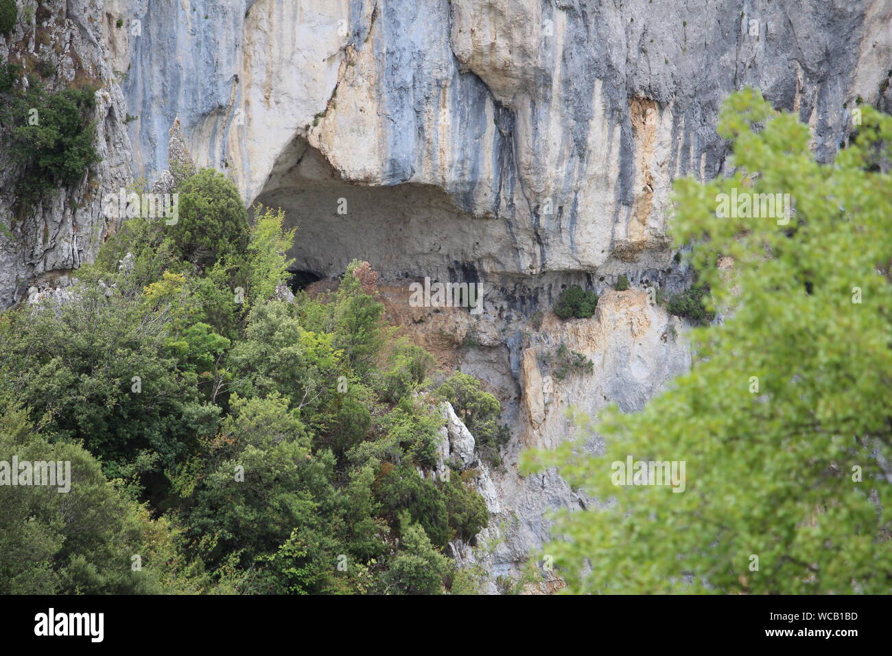 Cliff Face With Plants High Resolution Stock Photography and Images - Alamy