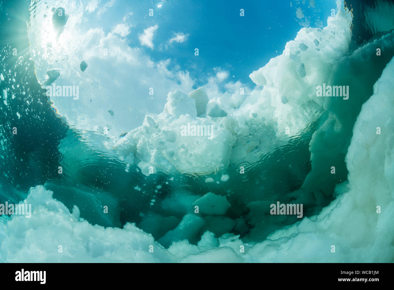 Drift ice,underwater view,in Rausu,Hokkaido,Japan Stock Photo - Alamy