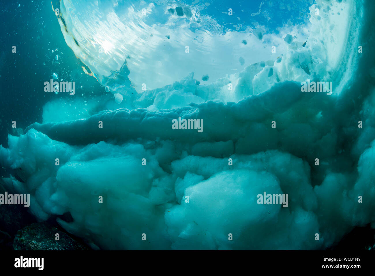 Drift ice,underwater view,in Rausu,Hokkaido,Japan Stock Photo - Alamy