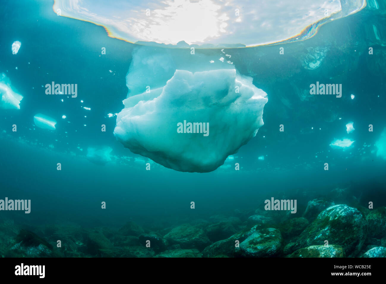 Drift ice,underwater view,in Rausu,Hokkaido,Japan Stock Photo - Alamy