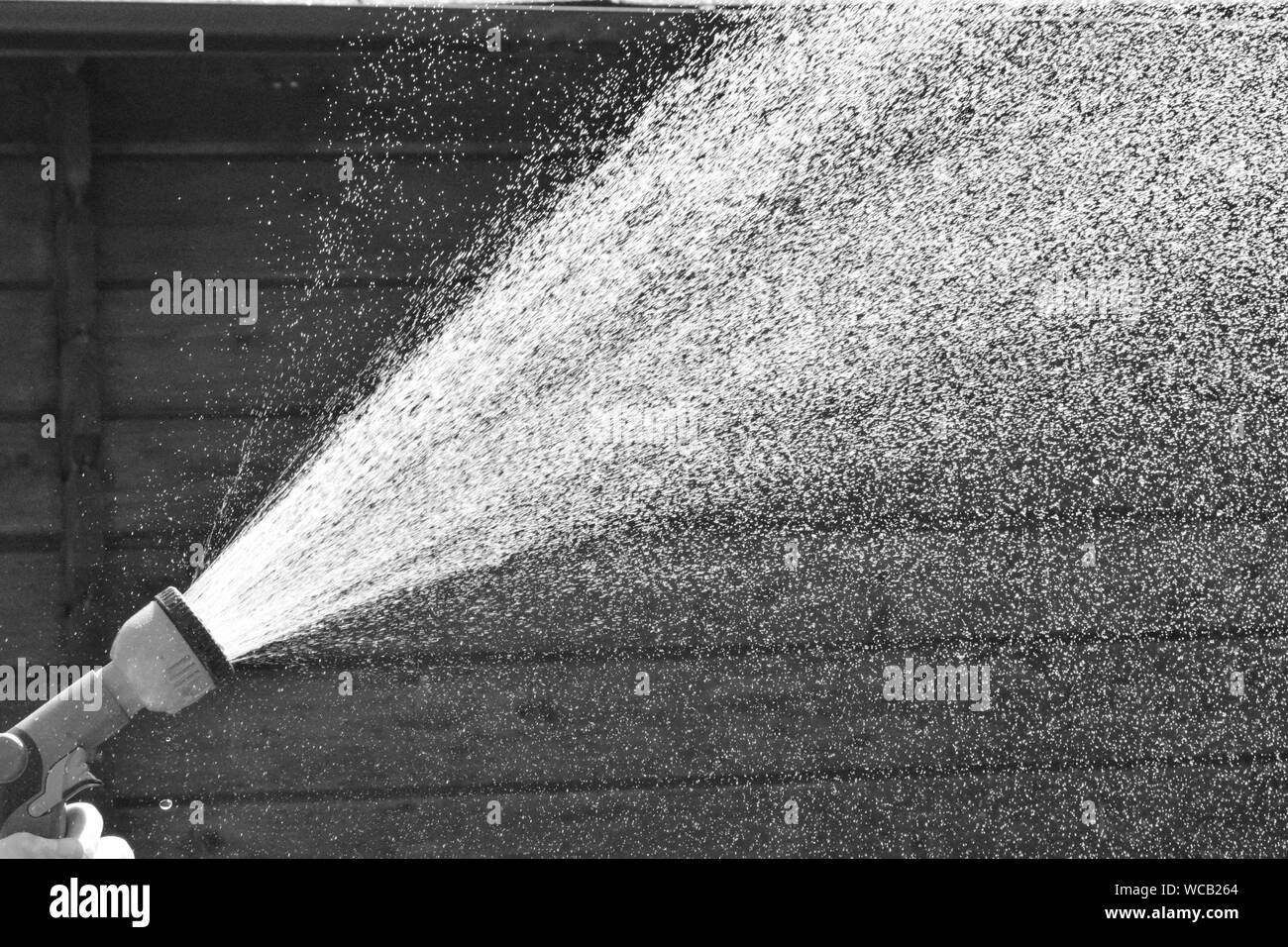 Spraying garden sprinkler Black and White Stock Photos & Images - Alamy